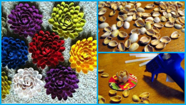 Beautiful flowers out of shells – Art & Craft Ideas